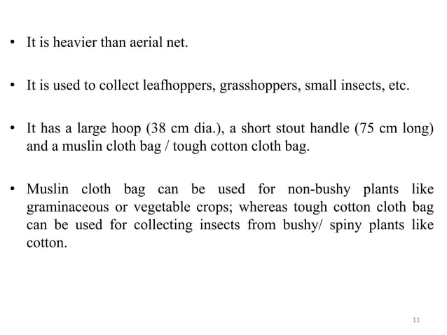 Methods of insect collection, preservation, display and storage by Dr ...