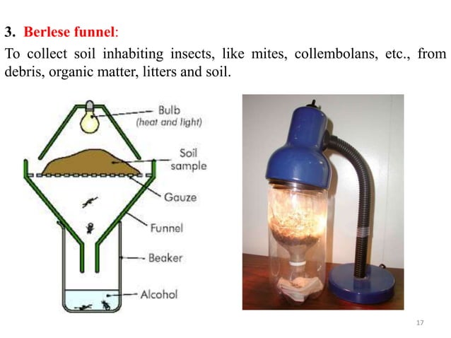 Methods of insect collection, preservation, display and storage by Dr ...