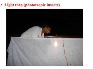 Methods of insect collection, preservation, display and storage by Dr ...