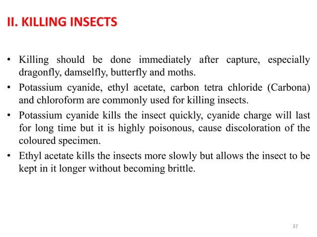 Methods of insect collection, preservation, display and storage by Dr ...