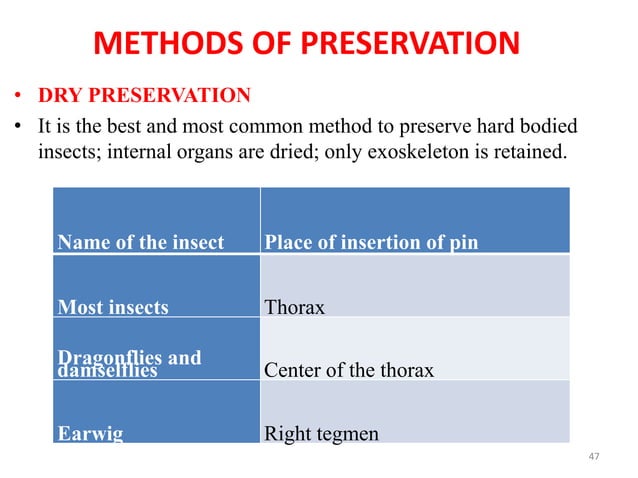 Methods of insect collection, preservation, display and storage by Dr ...