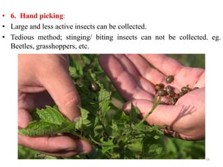 Hand Picking, Aspirators, And Tweezers Bug Hunter, 43% OFF