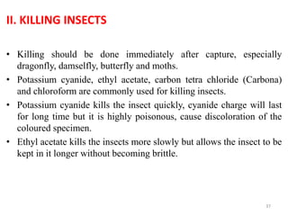 Methods of insect collection, preservation, display and storage by Dr ...