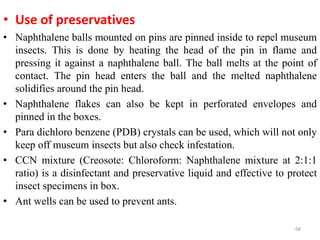 Methods of insect collection, preservation, display and storage by Dr ...