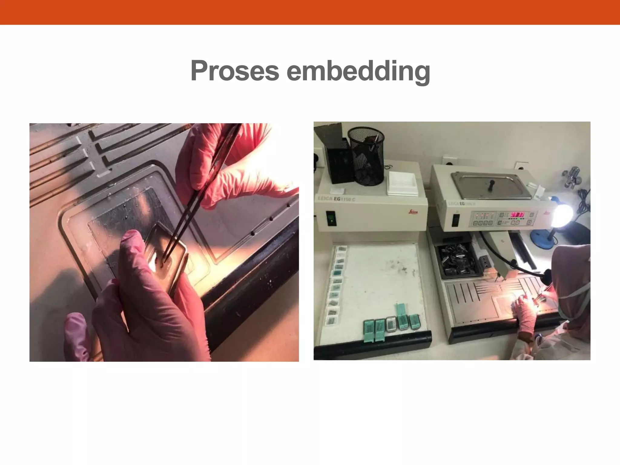 2. laboratorium histopatologi (rpl) | PPTX