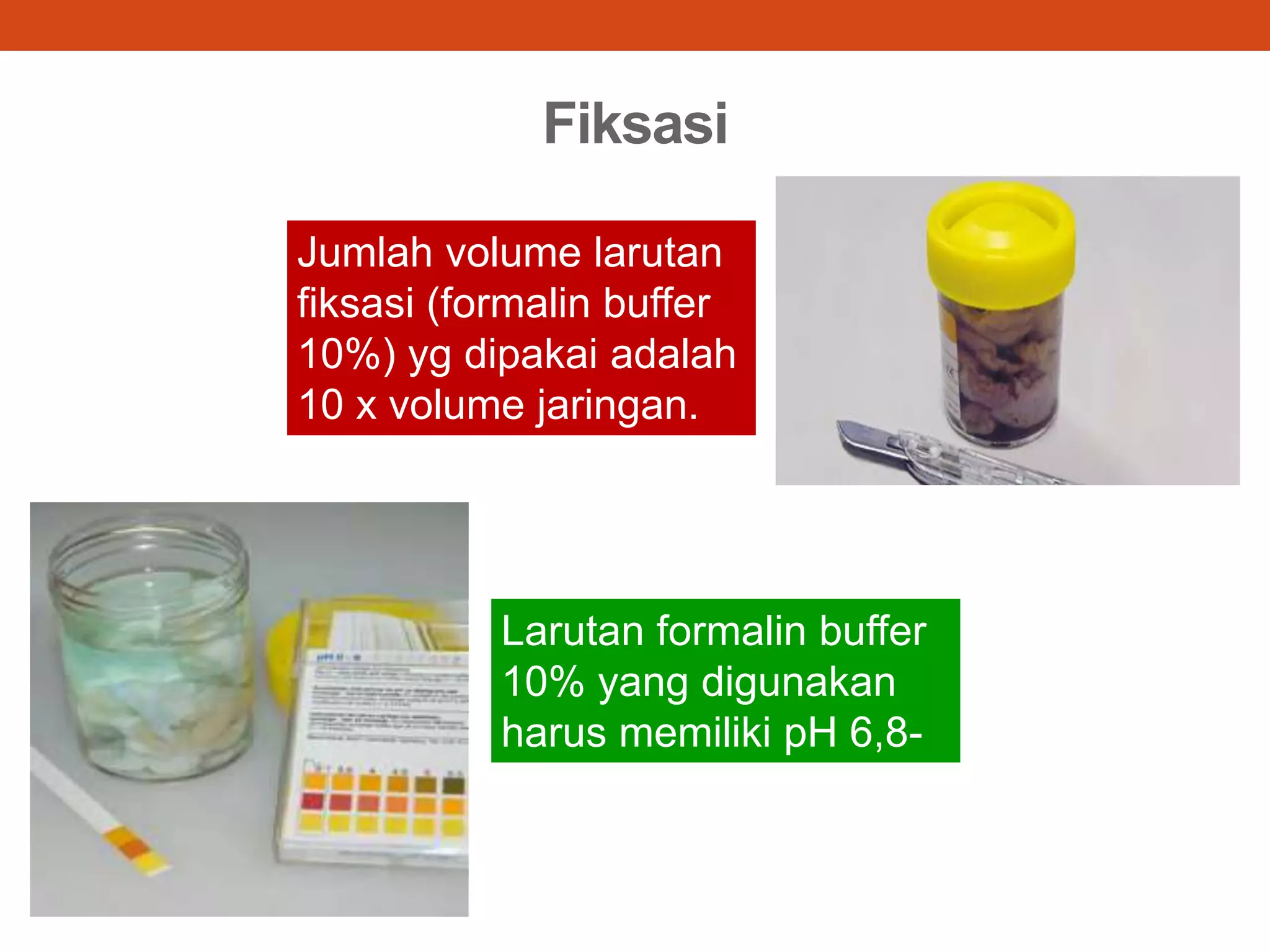 2. laboratorium histopatologi (rpl) | PPTX