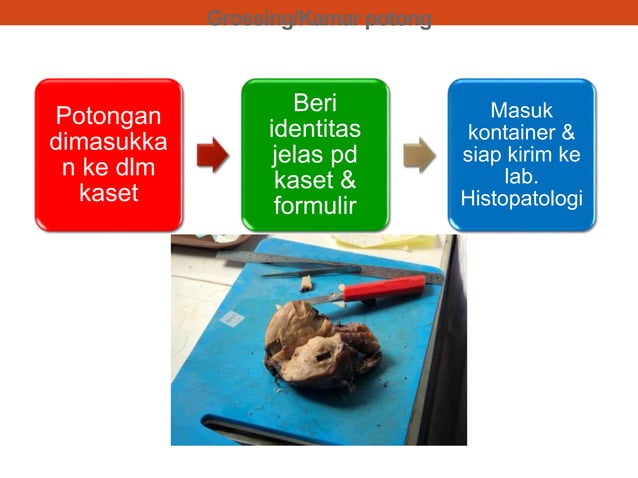 2. laboratorium histopatologi (rpl) | PPTX