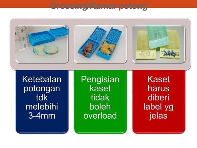 2. laboratorium histopatologi (rpl) | PPTX
