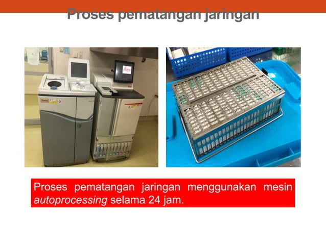 2. laboratorium histopatologi (rpl) | PPTX