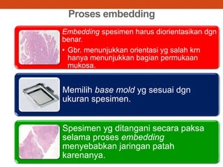 2. laboratorium histopatologi (rpl) | PPTX