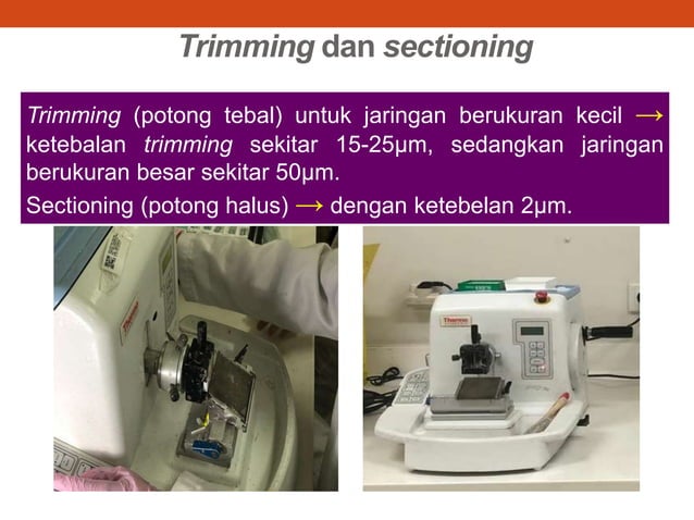 2. laboratorium histopatologi (rpl) | PPTX