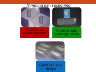 2. laboratorium histopatologi (rpl) | PPTX