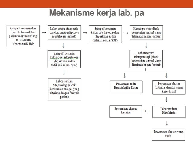 2. laboratorium histopatologi (rpl) | PPTX