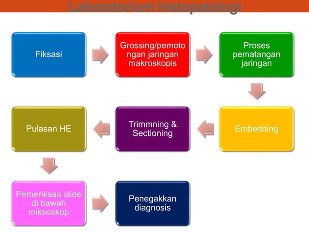 2. laboratorium histopatologi (rpl) | PPTX