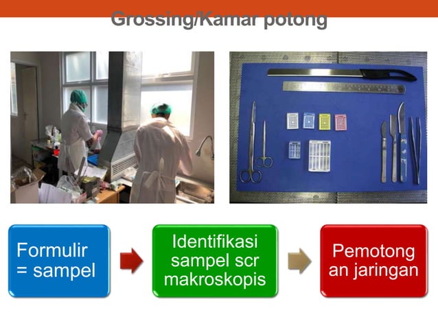 2. laboratorium histopatologi (rpl) | PPTX