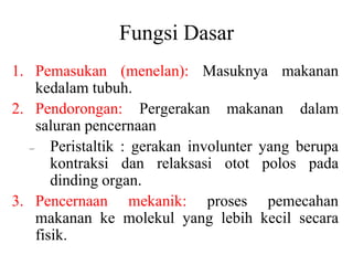 2. sistem pencernaan | PPTX