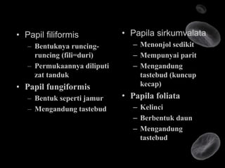 2. sistem pencernaan | PPTX