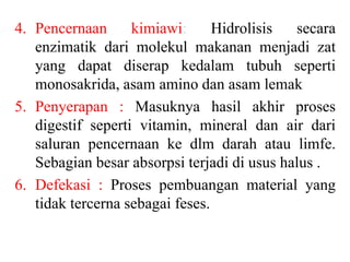 2. sistem pencernaan | PPTX