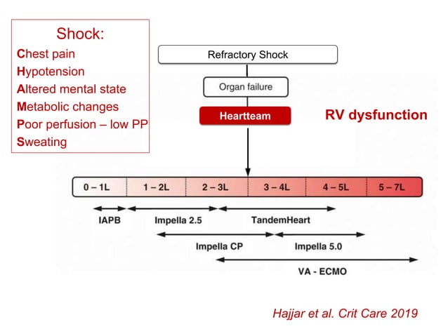 2. ecmo indications #beach2019 (bouchez) | PPT