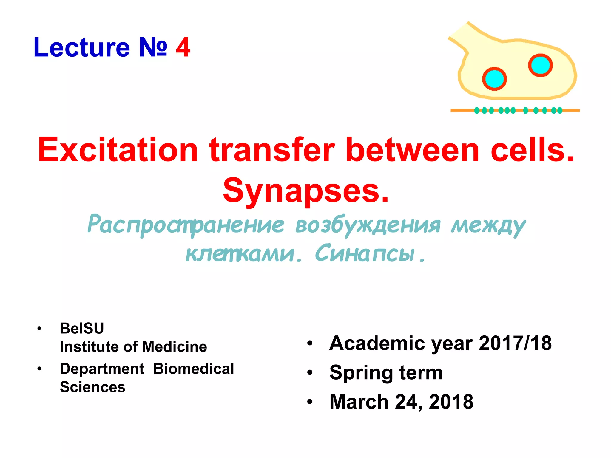 2.4.lecture 4- synapses | PPT