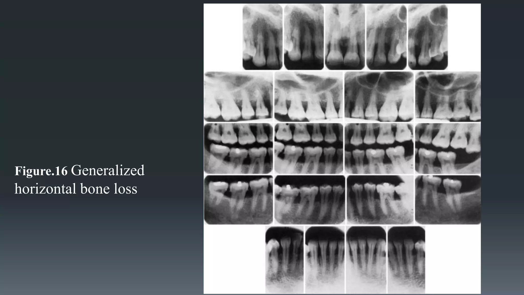 lecture number 2 | PPT