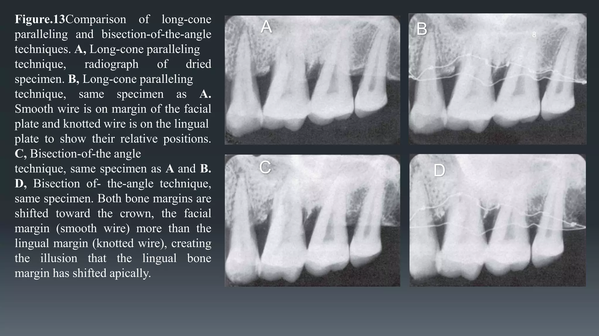 lecture number 2 | PPT