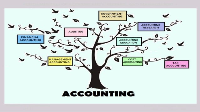 2. branches of accounting