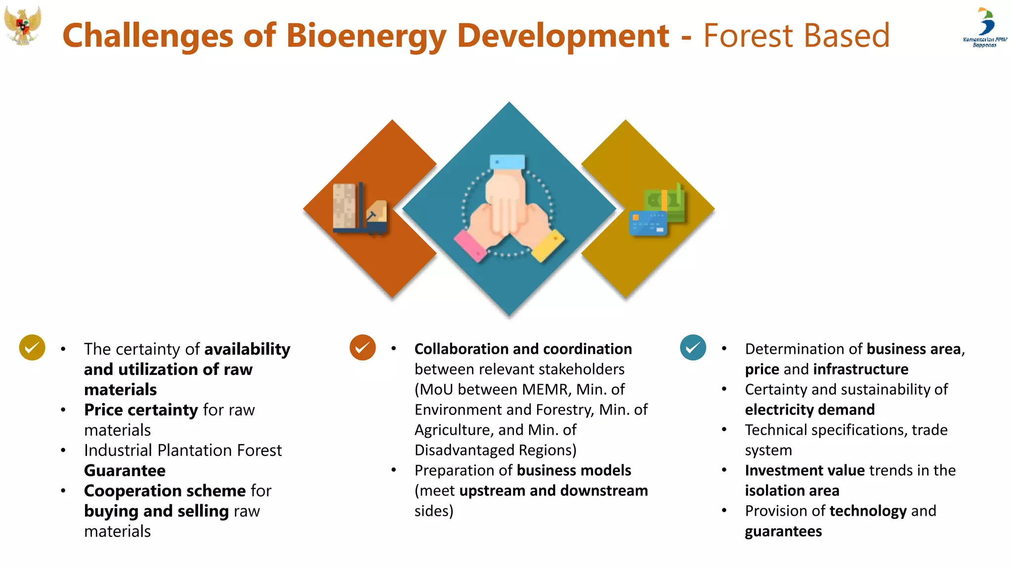 Bioenergy Development in Indonesia | PPTX