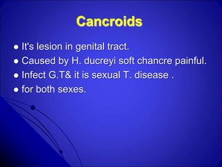 2. genital tract infection GTI Dr. Mahadi | PPT
