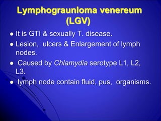2. genital tract infection GTI Dr. Mahadi | PPT