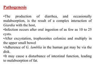 2. giardia | PPT