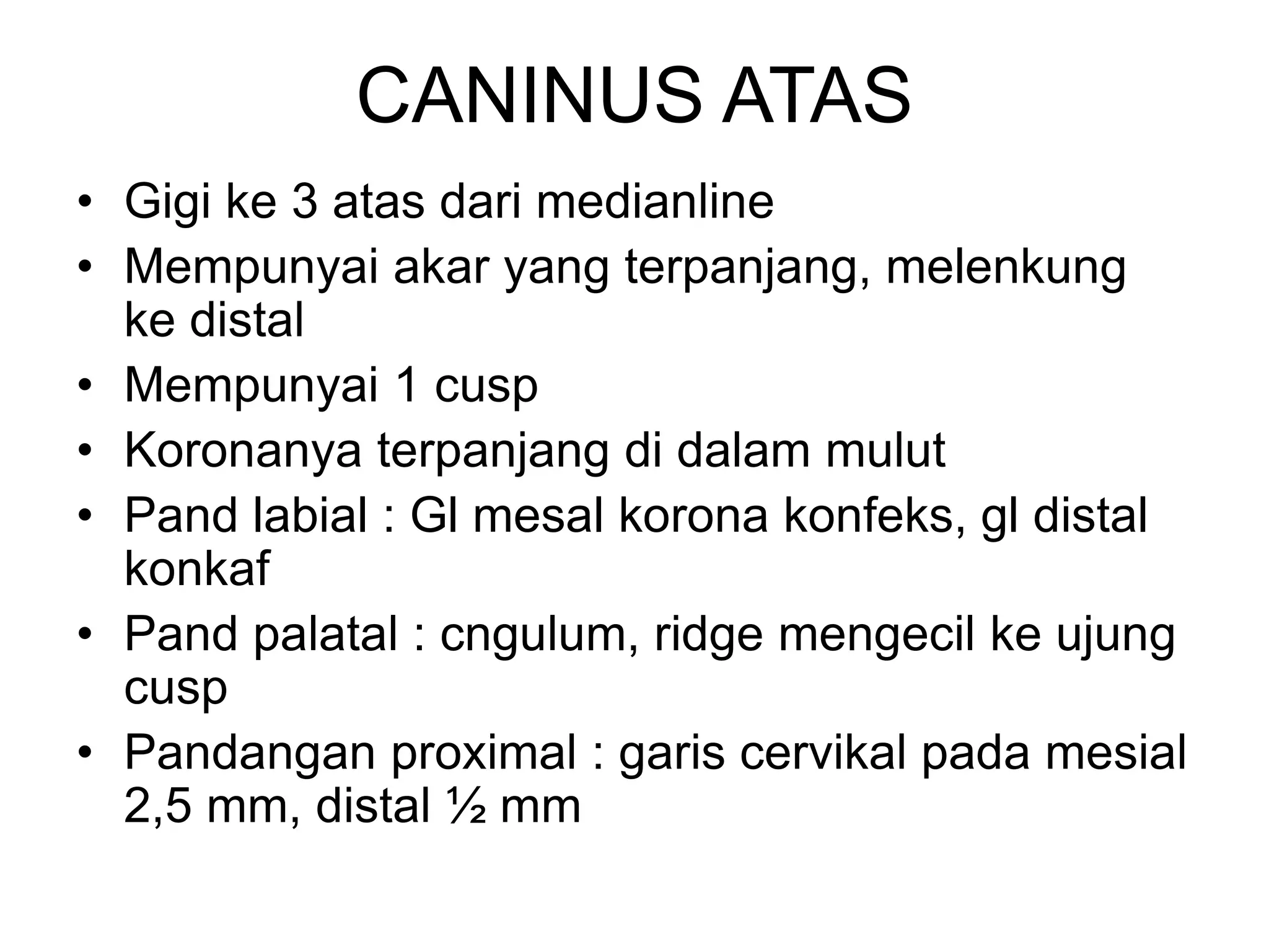 2. dental anatomi gigi permanen .. | PPT