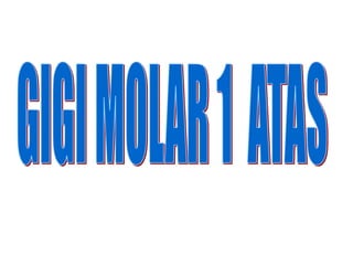 2. dental anatomi gigi permanen .. | PPT
