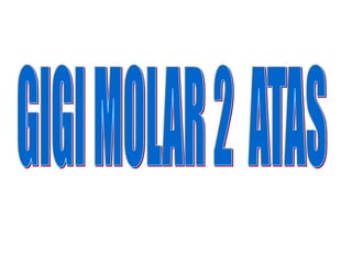 2. dental anatomi gigi permanen .. | PPT