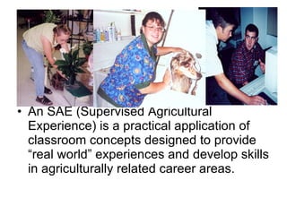 2 19 Aquaculture Species | PPT | Agriculture | Industries