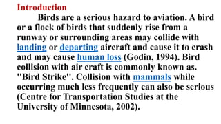 2-1 Bird strikes hazard.pdf