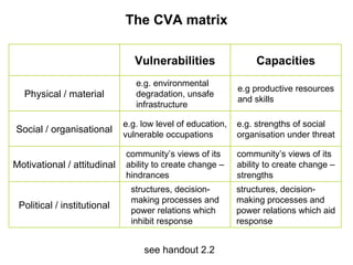 Gender mainstreaming and gender analysis in work addressing risk ...