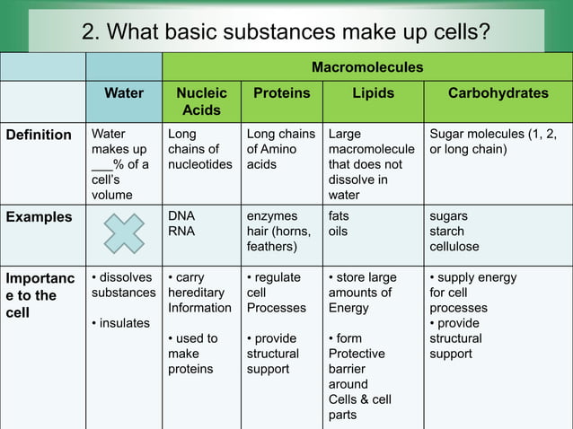 Ch. 2.1 Review: Macromolecules & cell theory | PPT