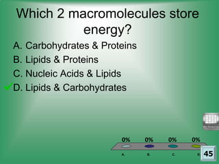 Ch. 2.1 Review: Macromolecules & cell theory | PPTX