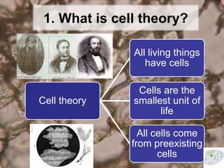 Ch. 2.1 Review: Macromolecules & cell theory | PPT