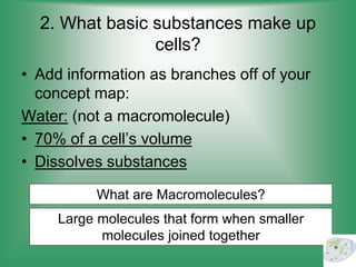 Ch. 2.1 Review: Macromolecules & cell theory | PPT