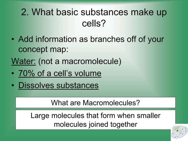 Ch. 2.1 Review: Macromolecules & cell theory | PPT