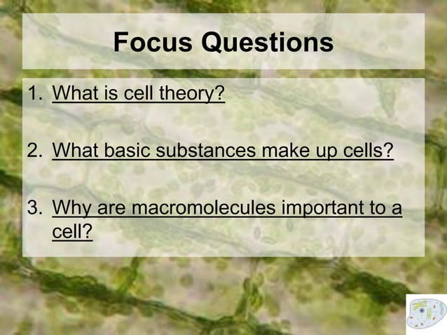 2 1 cells & macromolecules (k) shared | PPTX | Biological Sciences ...