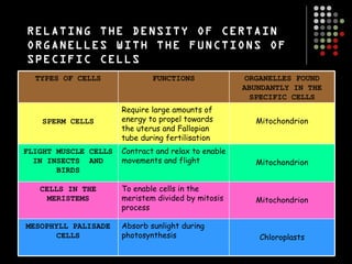 2.1 cell structure and function | PPT