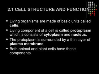 2.1 cell structure and function | PPT