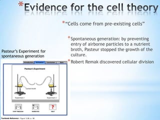 2.1 cell theory | PPTX