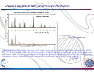 Quantifiler® Trio kit and forensic samples management: a matter of ...