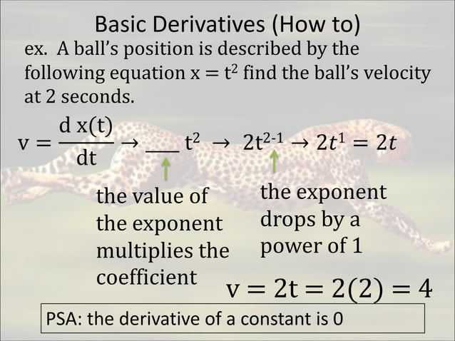 1D graphs, kinematics, and calculus | PPTX | Physics | Science