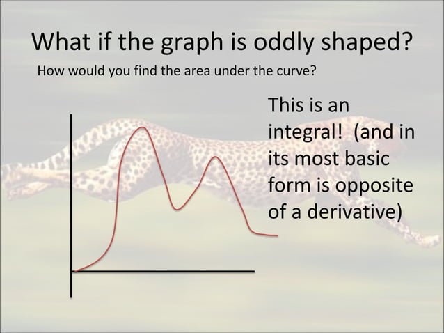 1D graphs, kinematics, and calculus | PPTX | Physics | Science