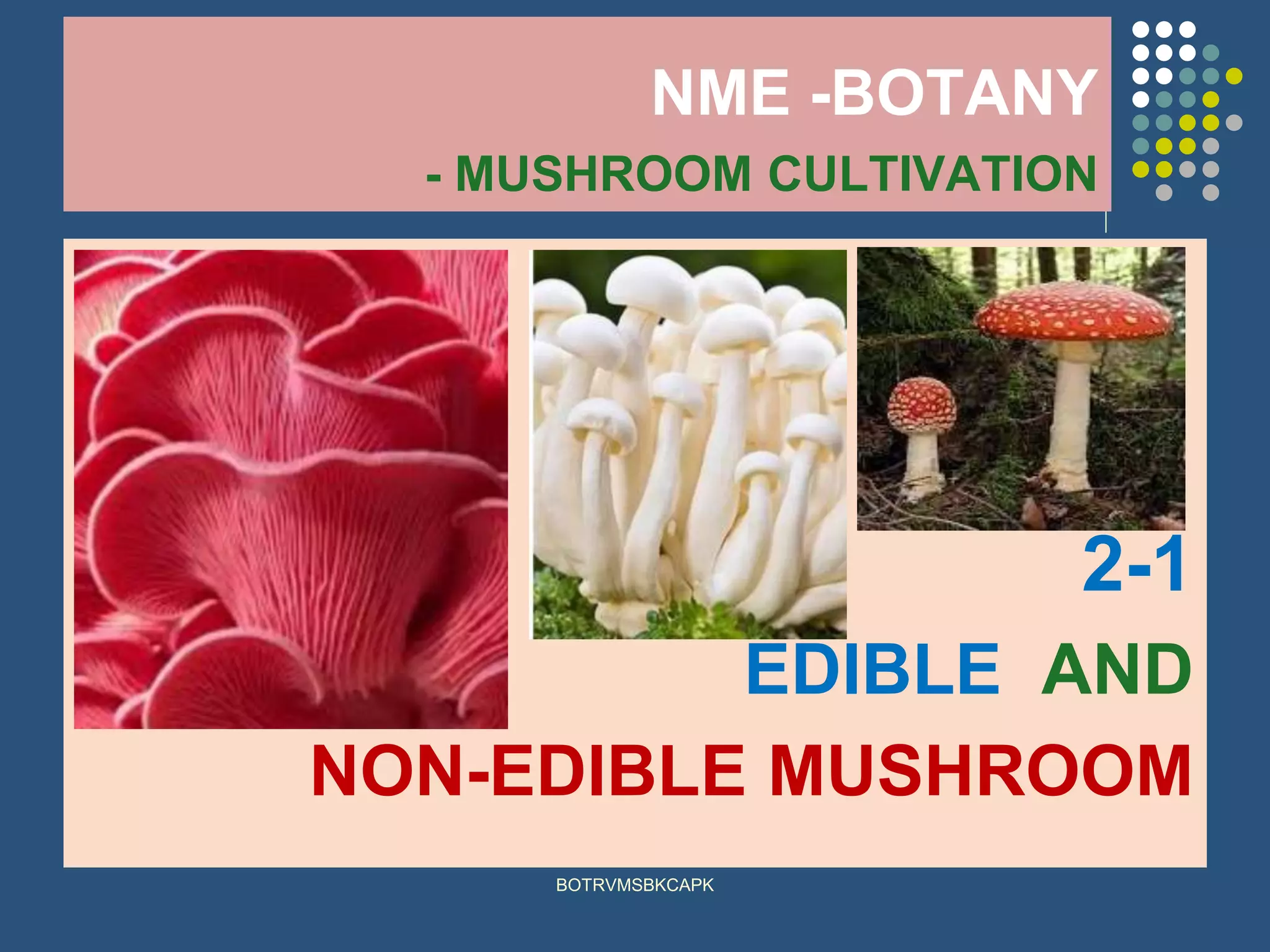 2 1 edible and non –edible mushroom | PPT